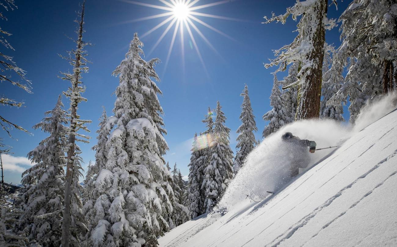 5 Reasons Why Treeline Cirque is a Game Changer at Alpine Meadows ...
