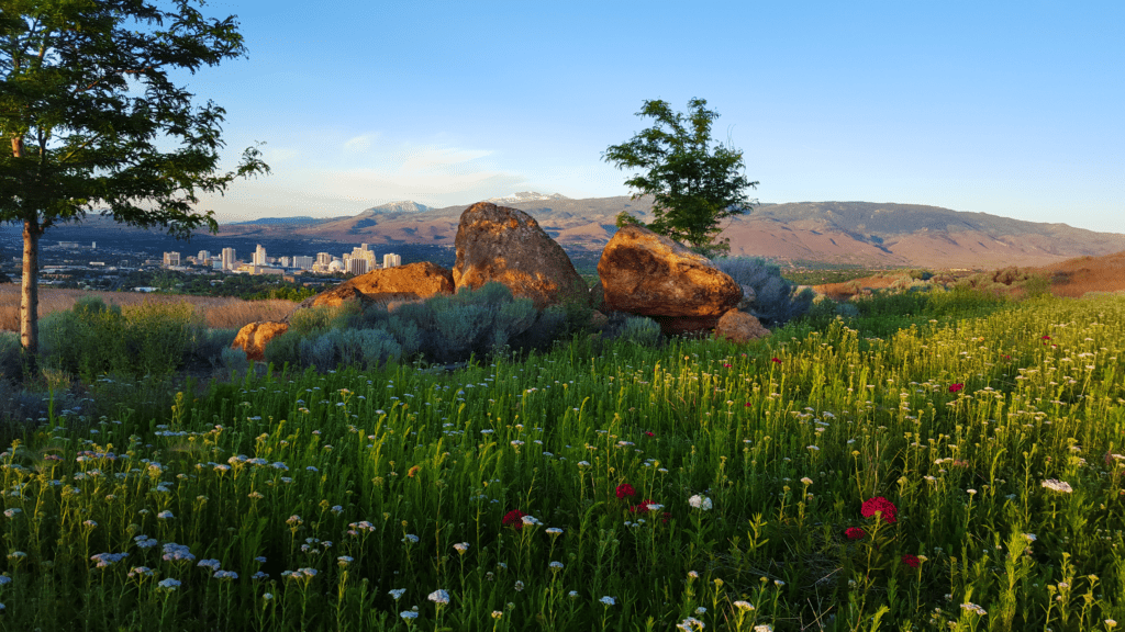 Visitors Guide to Reno, NV - Palisades Tahoe at Lake Tahoe