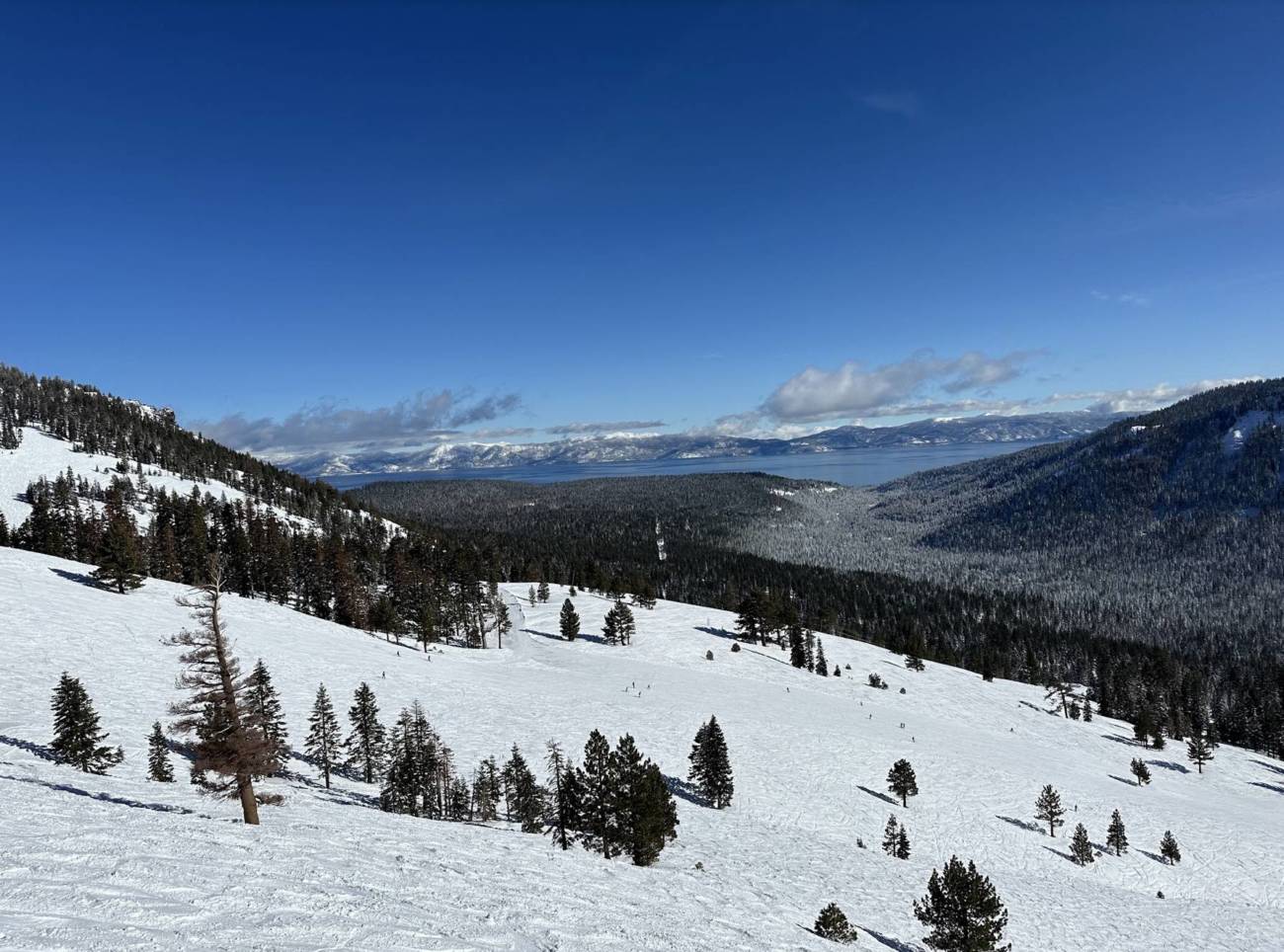 Jan 17th: Bluebird Powder Day at Alpine - Palisades Tahoe at Lake Tahoe