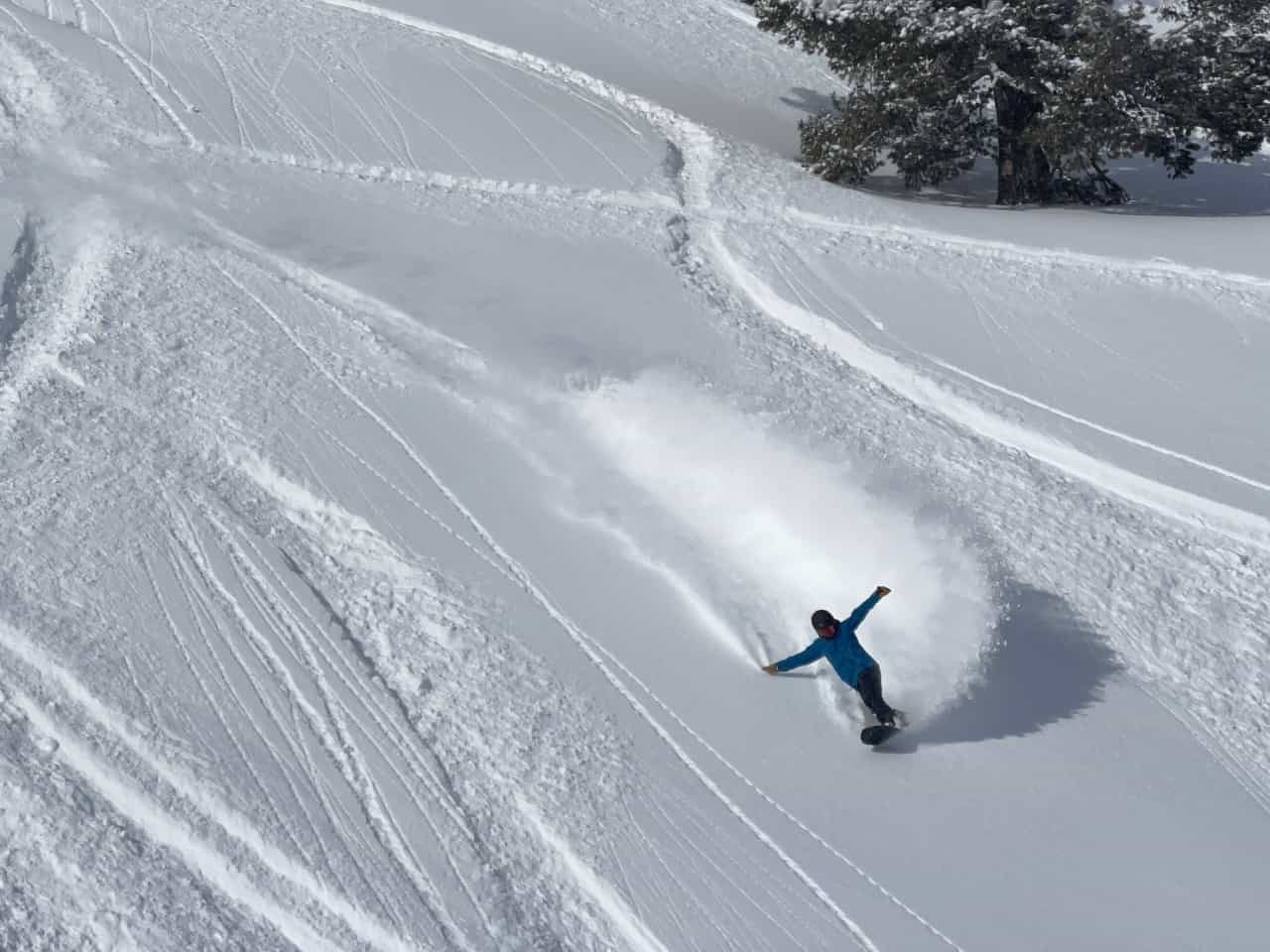 Mar 6th: Primo Pow Day at Alpine - Palisades Tahoe at Lake Tahoe